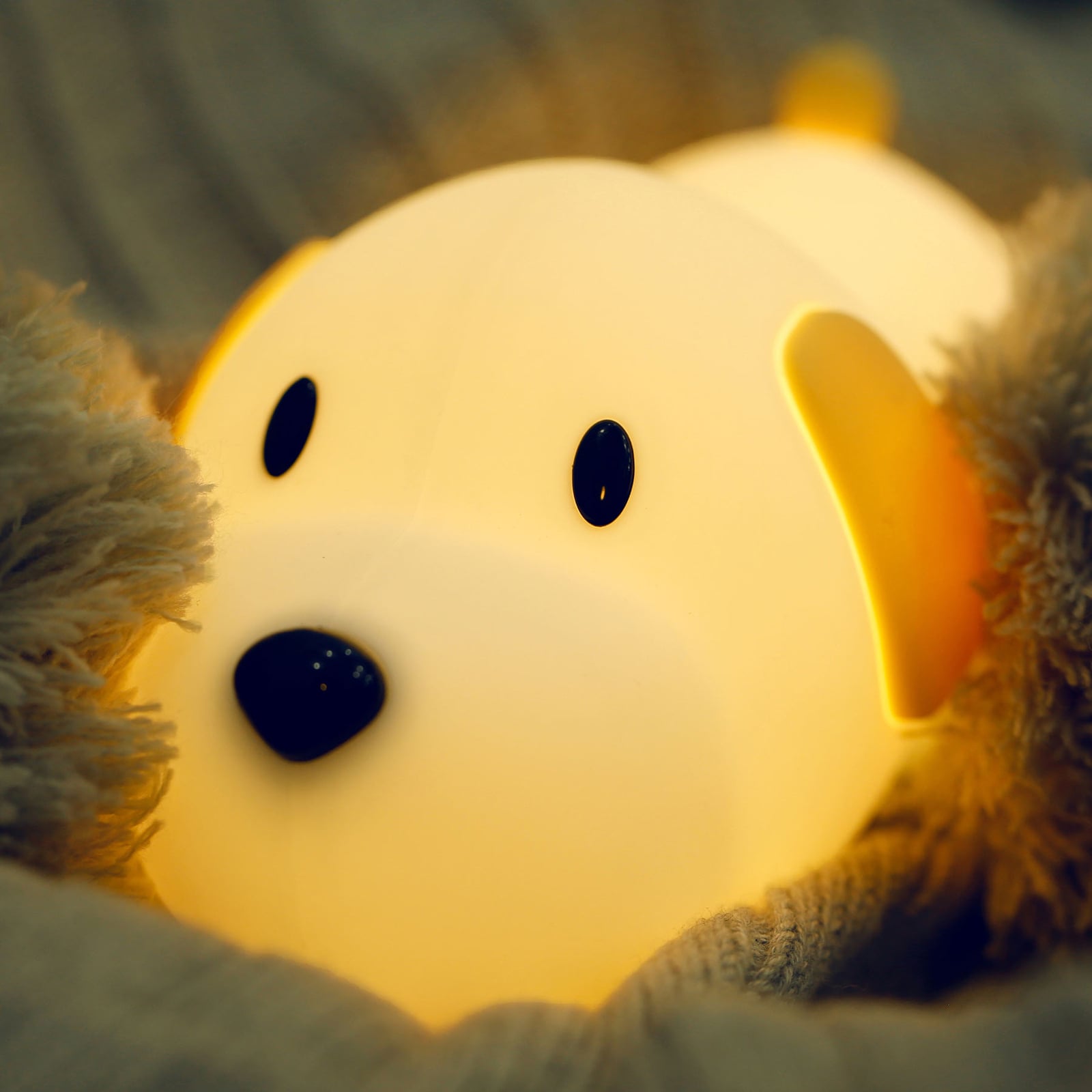 Do Puppies Need Night Light