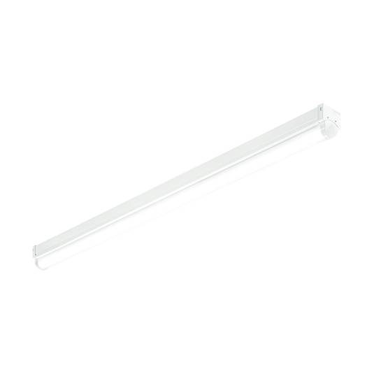 Thorn PopPack Lichtleiste 173cm, 4.000K 75W | Lampenwelt.de