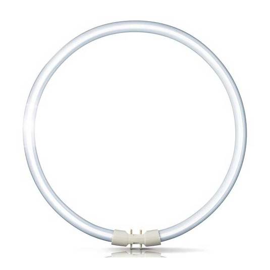 2GX13 60W 840 fluorescent ring Master TL5 | Lights.co.uk