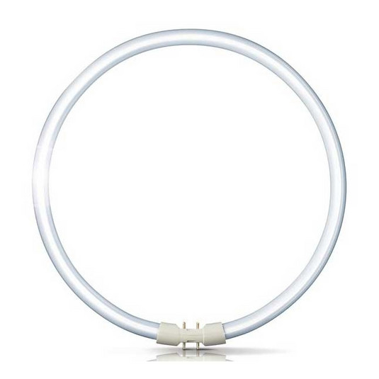 2GX13 fluorescent ring Master TL5 Circular | Lights.co.uk