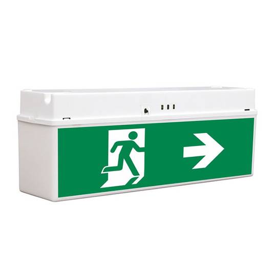 LED emergency light, wall and ceiling installation | Lights.co.uk