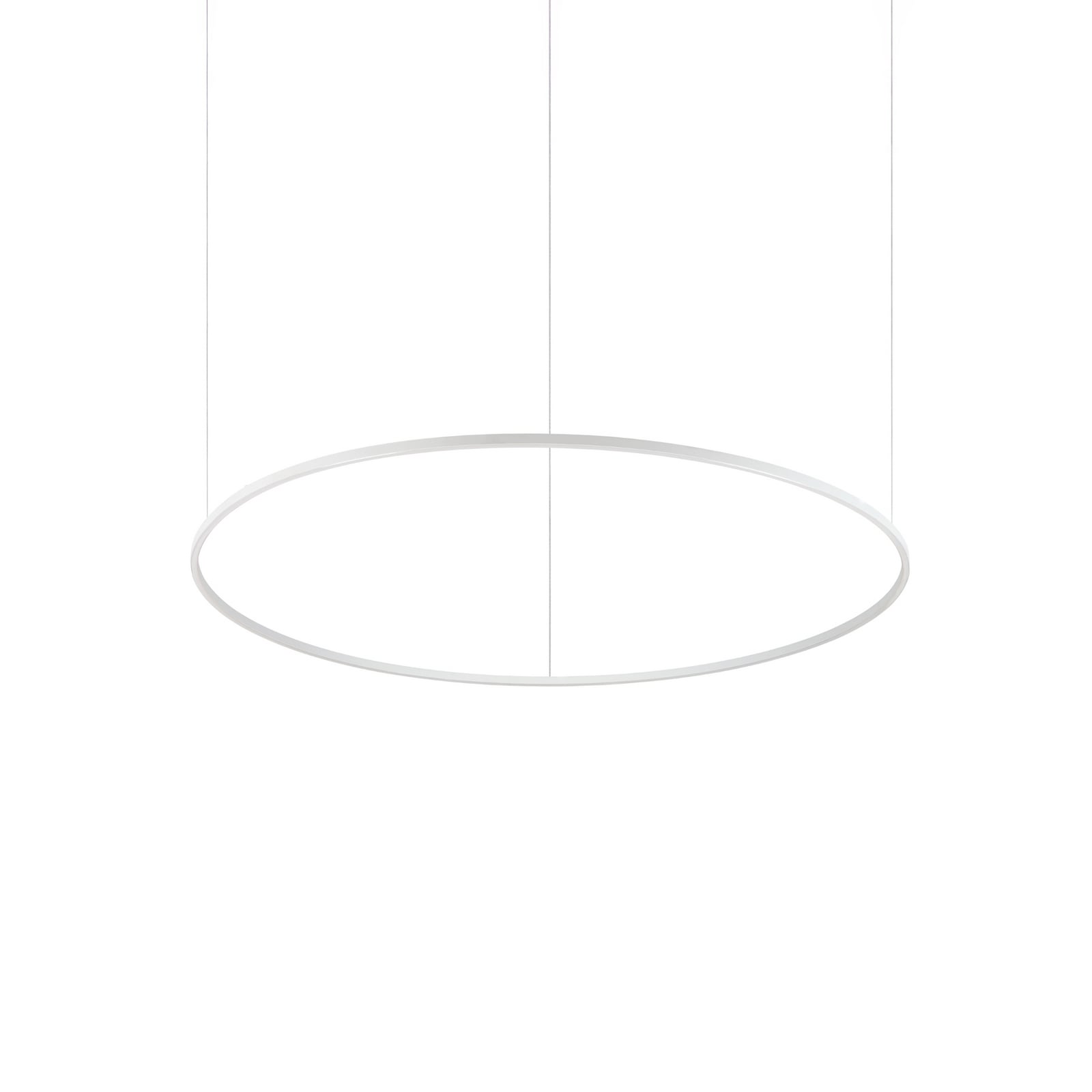 Ideal Lux LED-Hängelampe Oracle Slim, Ø 150 cm | Lampenwelt.de