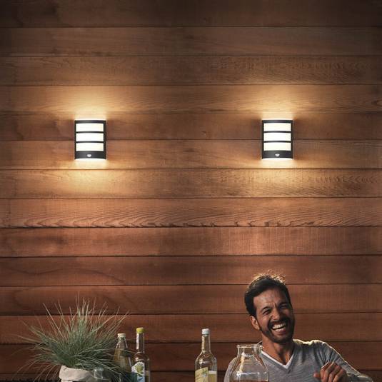 Philips LED outdoor wall light Python UE, anthracite, sensor | Lights.co.uk