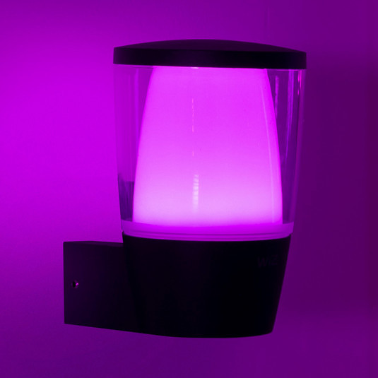 WiZ Elpas LED outdoor wall light RGBW, black | Lights.co.uk