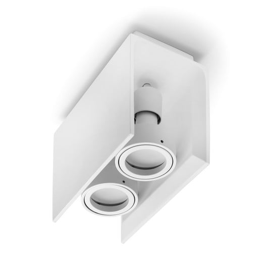 Elide ceiling light 2-bulb | Lights.ie